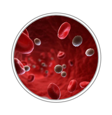 Guthridge Lab – Arthritis and Clinical Immunology (ACI)